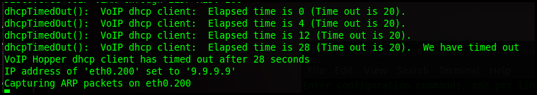Screen Shots - VoIP Hopper